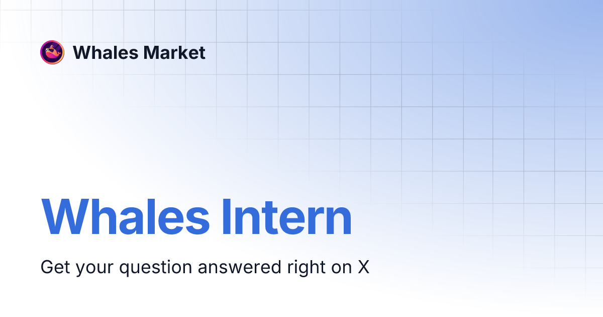Whales Intern | Whales Market Whales Intern | Whales Market